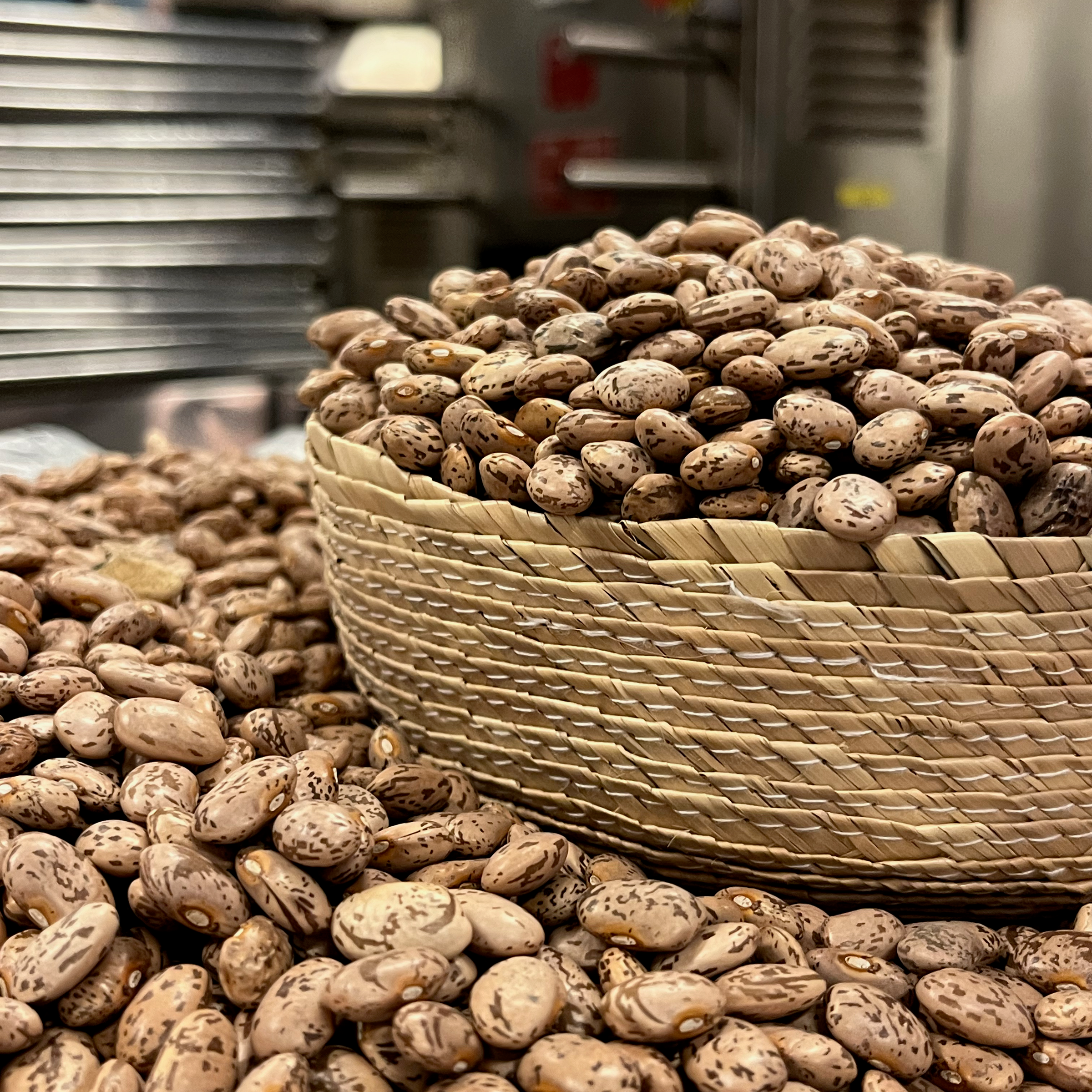 pinto beans borlotti